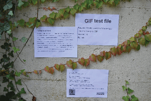 GIF image information and conversion.